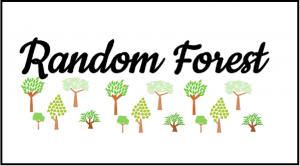 ¿Qué es el random forest?
